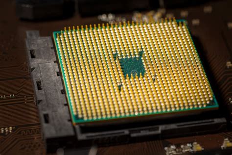 Bottom View Of The Computer Processor With Gold Plated Pins Stock Photo Image Of Chipset
