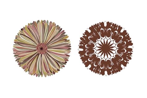 Premium Vector Floral Line Art Flower Illustration Flower Line Art Flower Set Vector Illustration