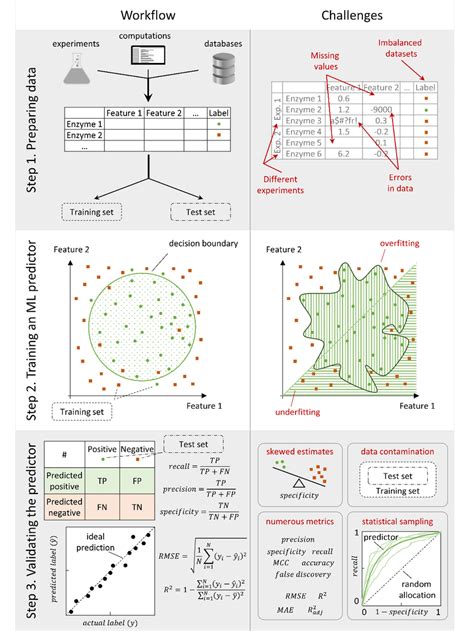 Schematic Workflow Of Constructing An ML Predictor And Associated