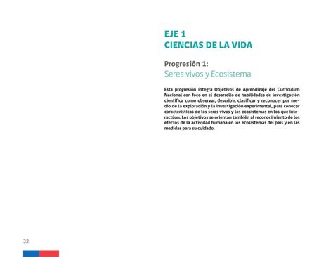 Progresiones De Aprendizaje En Espiral Orientaciones Para Su