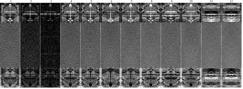 29 Eigenvector Image Spatial Filter Bands For The Scenario 025 Download Scientific Diagram
