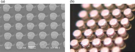 A Sem Micrograph And B Optical Micrograph Of Plated Copper Post In
