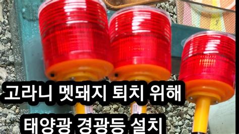 고라니 멧돼지 퇴치위해 태양광 경광등 설치 Youtube