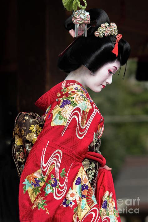Valentine Geisha Photograph By Mark Johnson Fine Art America