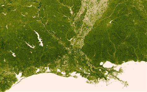 Imagens divulgadas pela Nasa mostram vegetação terrestre do planeta Maliária