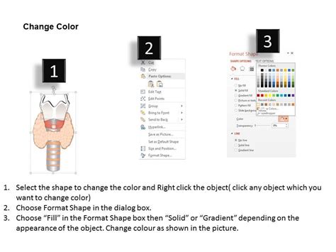 Top Thyroid PowerPoint Presentation Templates In