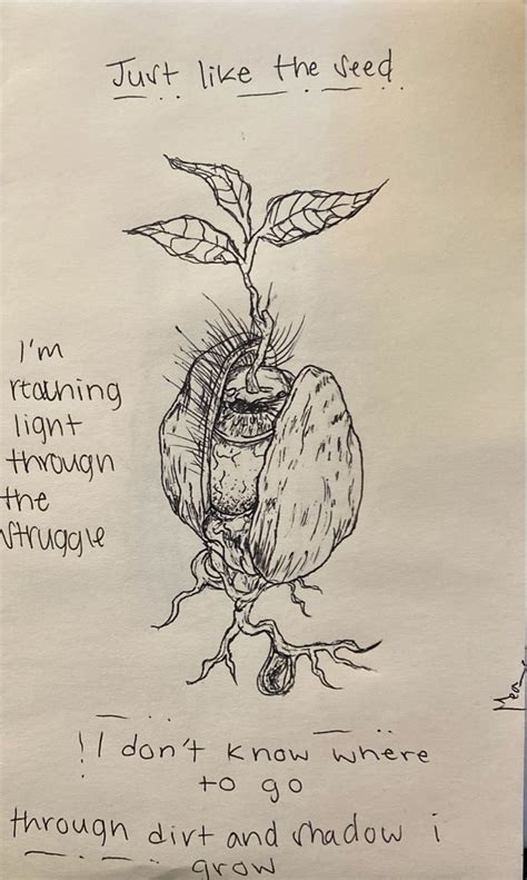 Aurora The Seed Book Art Drawings Tattoo Art Drawings Sketches