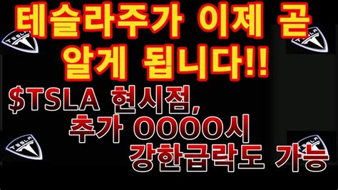 테슬라 주가 이제 곧 Tsla 현시점 추가 Oooo시 추가 급락도 가능 테슬라 투자 중요한건 나스닥