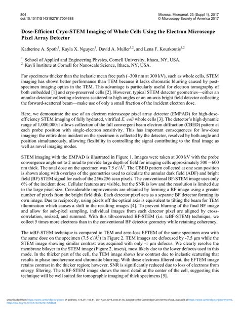 pdf dose efficient cryo stem imaging of whole cells using the