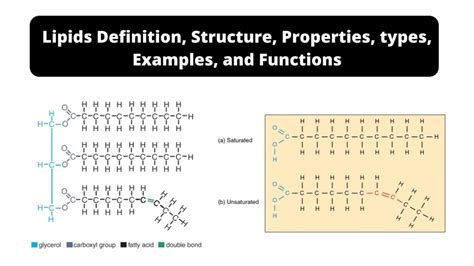 Structural Features Of Lipids