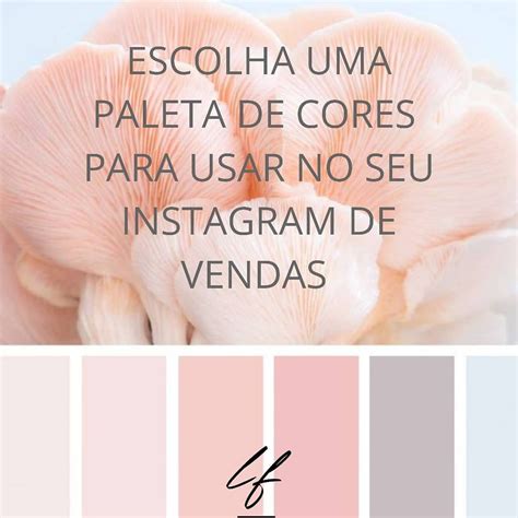 Escolha Uma Paleta De Cores Para Sua Identidade No Instagram De Vendas