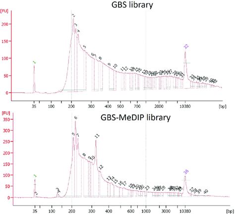 High Sensitivity Chip Electropherogram Of The Purified Libraries After
