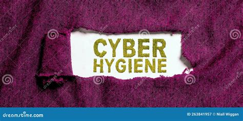 Conceptual Caption Cyber Hygiene Business Approach Steps That Computer Users Take To Improve