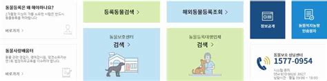 유기견 무료 입양 분양 사이트 5분 정보 Good Information