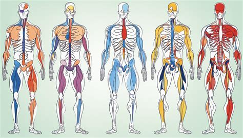 4 Types Of Guillain Barre Syndrome A Classification Guide