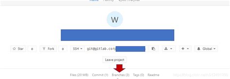 gitlab项目拉取及提交使用记录 gitlab能看成员拉取记录吗 csdn博客
