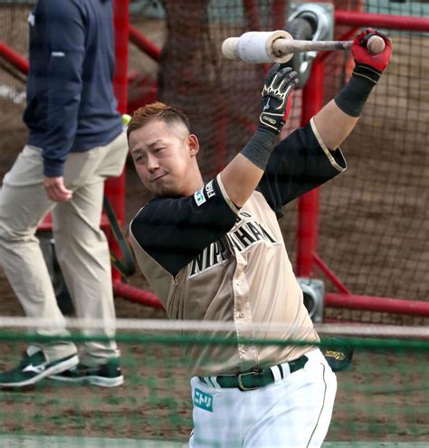 日本ハム中田「頑張る」楽天投手陣攻略へ意気込み プロ野球写真ニュース 日刊スポーツ