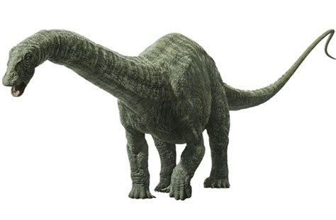 Apatosaurus Dino Park Phuket A World Out Of Time