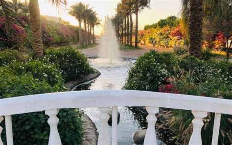 All About Sharjah Desert Park Timings Ticket Price Features And More