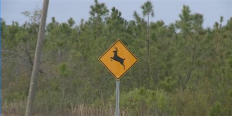Kytc Officials Issue Annual ‘antler Alert