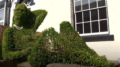 Sheffield Topiarist Disgusted By Drunk Hedge Sex Bbc News