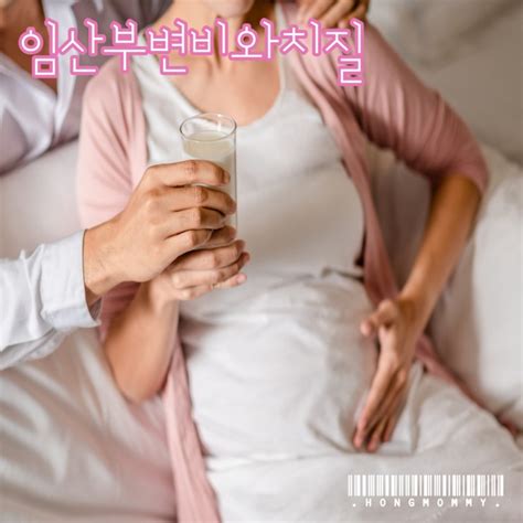 임신 임산부 변비 힘 주지 않고 해결 방법 임산부 치질 관리 네이버 블로그