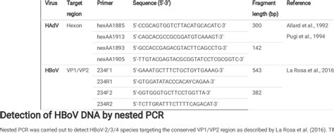 Primer Sequences Used For The Detection Of Human Adenovirus And Human Download Scientific