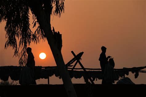 Norpak Norpak International