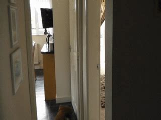 Naked Humiliated And More Jojo Naked Exercise