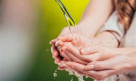 Protecting Yourself From Waterborne Diseases Lodder Brothers Limited