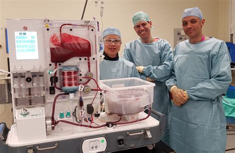 Lab Grown ‘mini Organs Used In Liver Repair Breakthrough Cuh