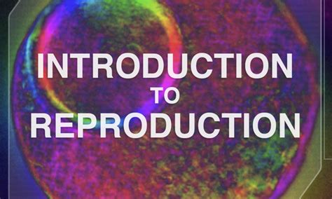 Online Course Introduction To Reproduction From Northwestern University Class Central