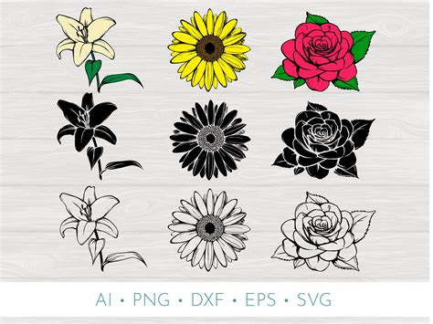 Flower Collection Rose Lily Sunflower Daisy Svg Dxf Eps Png Ai