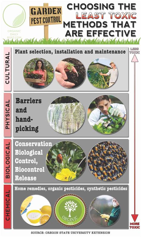 Natural Garden Pest Control A Healthier And Safer Solution