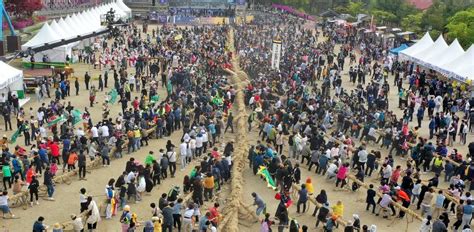 [뉴스1 Pick]영차 영차 태평과 풍년기원…500년 역사 기지시줄다리기 파이낸셜뉴스