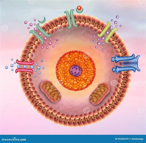 Different Cell Receptors Royalty Free Stock Image