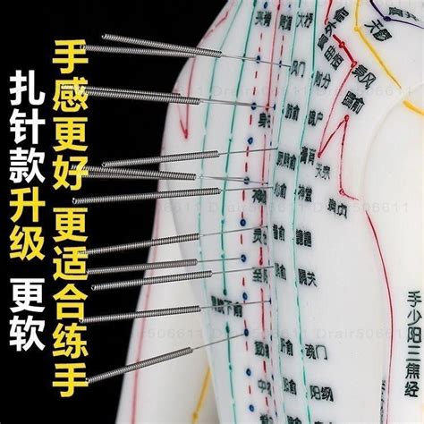 穴位圖穴位模型 人體穴位模型針灸推拿模型穴位圖刻字針灸中醫小人全身穴位模型人 蝦皮購物