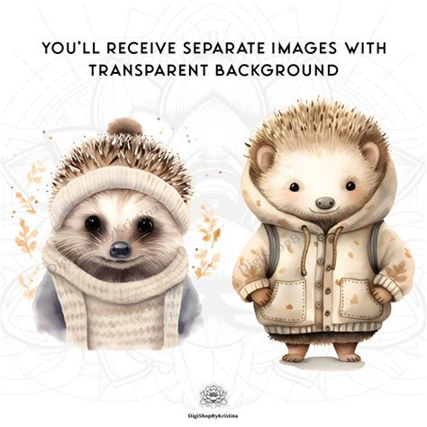 Cute Little Autumn Hedgehog Clipart Set Watercolor Hedgehog Pngs Autumn