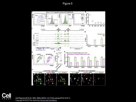 Volume Issue Pages E December Ppt Download