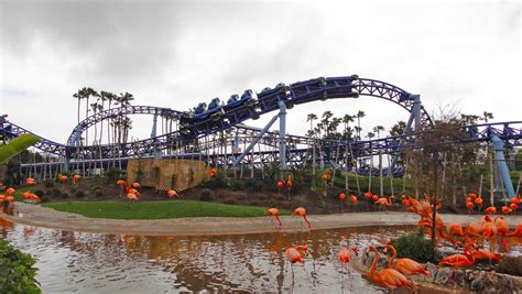 9 Not To Miss Seaworld San Diego Shows And Attractions