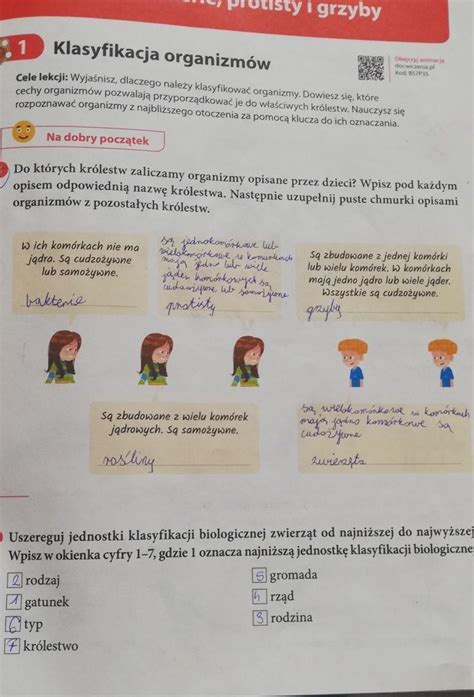 pomuscie mi mi rozwiązać te zadanie Brainly pl