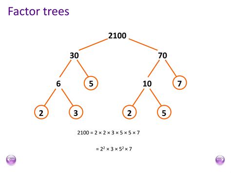 Number Factor Tree Pptx