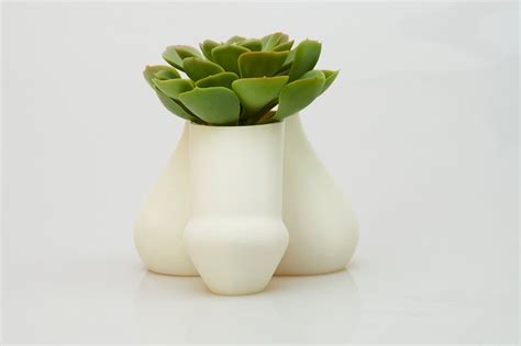 Penis Shaped Planter Dick Planter For Succulents Perfect Etsy