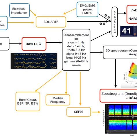 Mechanism Of Action Of The Currently Available EEG Derived Anaesthesia Download Scientific