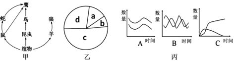题目 图甲表示某草原生态系统的食物网图乙表示该生态系统中构成一条食物链的四种生物所占的数量关系图丙表示该生态系统中某些生物间的关系请据