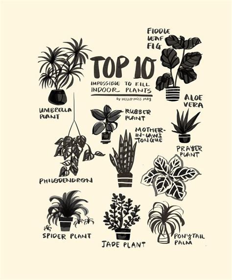 Hello Plant Lover On Instagram “whats Yours Artwork By