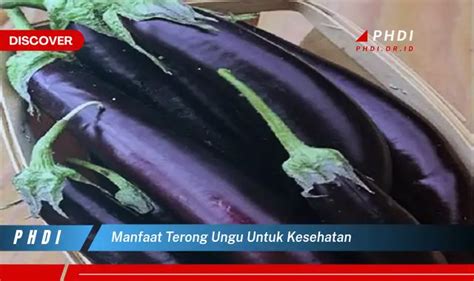 Ketahui 7 Manfaat Terong Ungu Untuk Kesehatan Yang Wajib Kamu Intip