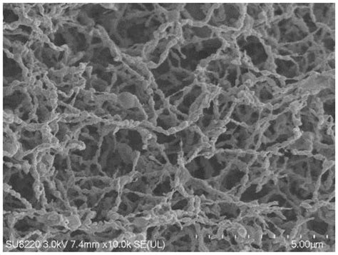 Controllable Preparation Of High Performance Electrocatalyst And