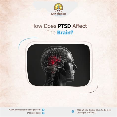 How Does Ptsd Affect The Brain
