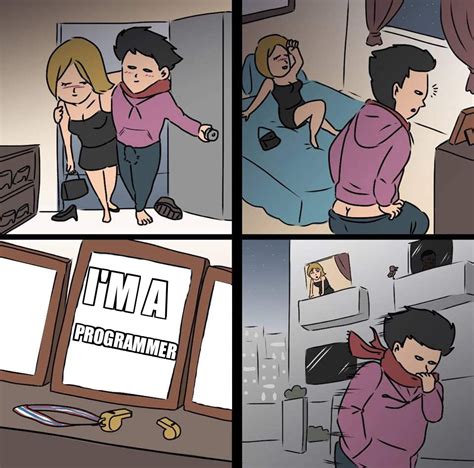 i m a programmer r programmerhumor